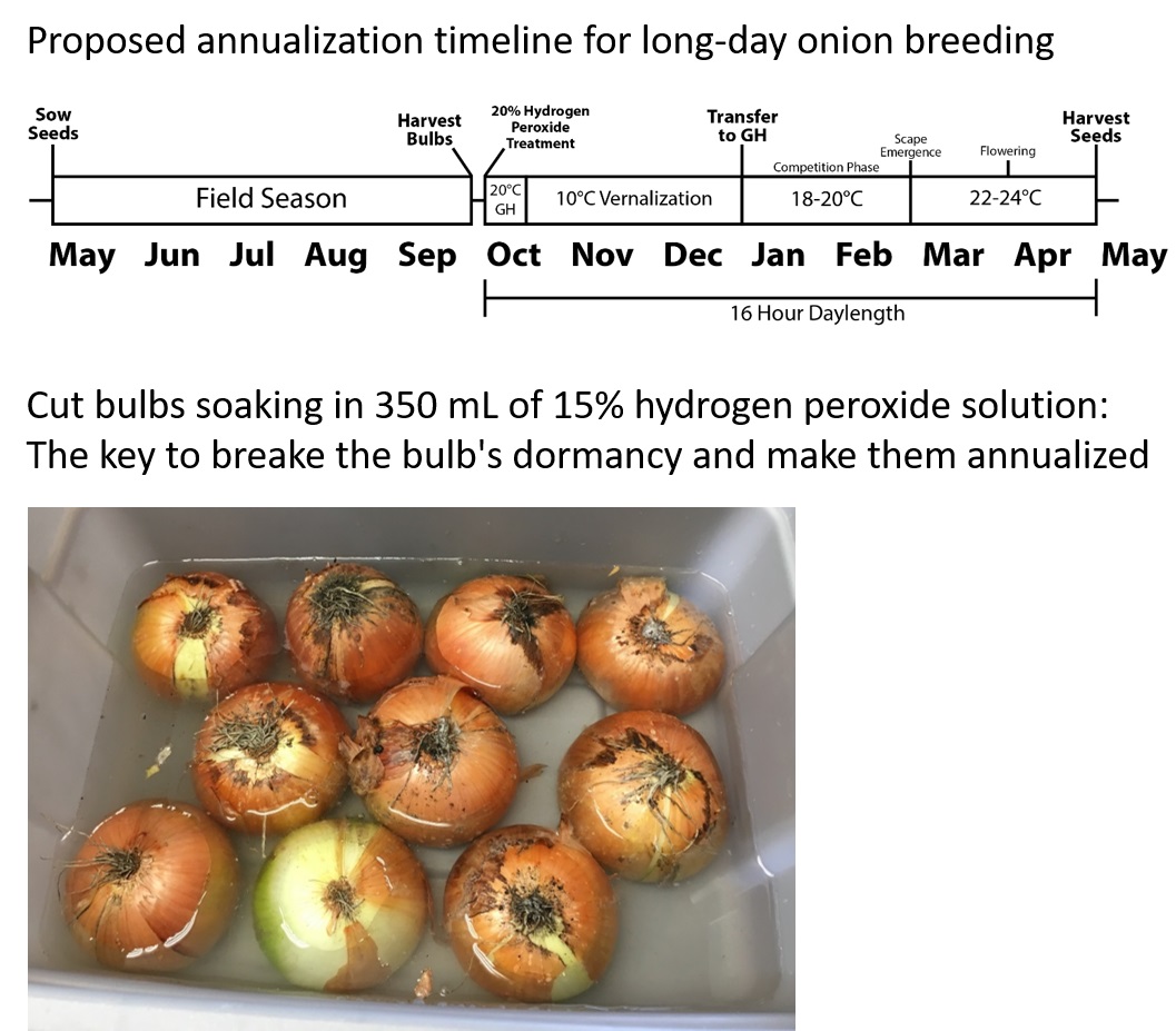 CBGG-An Open Access Journal from Hapres