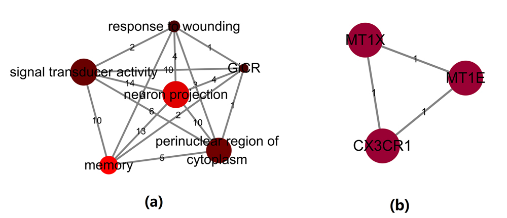 Three Potential Risk Genes for Bipolar Disorder: MT1E, MT1X and CX3CR1 ...